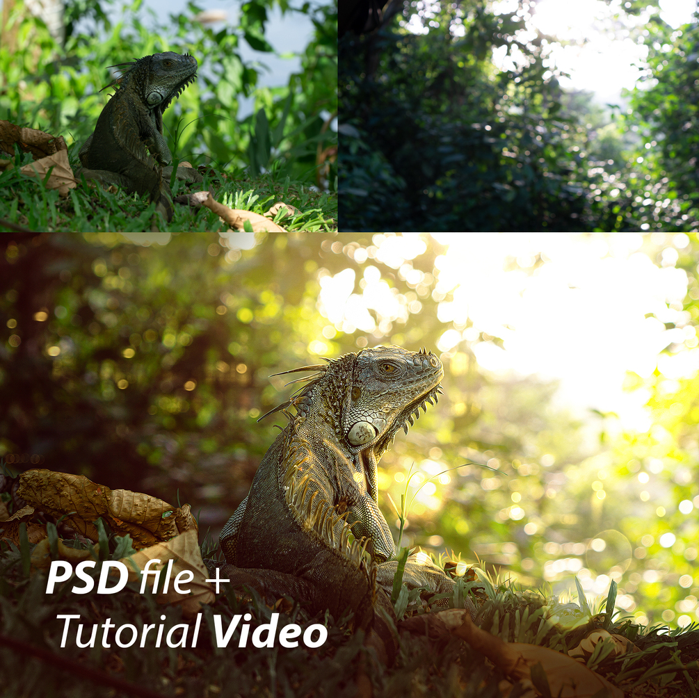 Iguana Is Watching You! Photoshop file + Tutorial Video