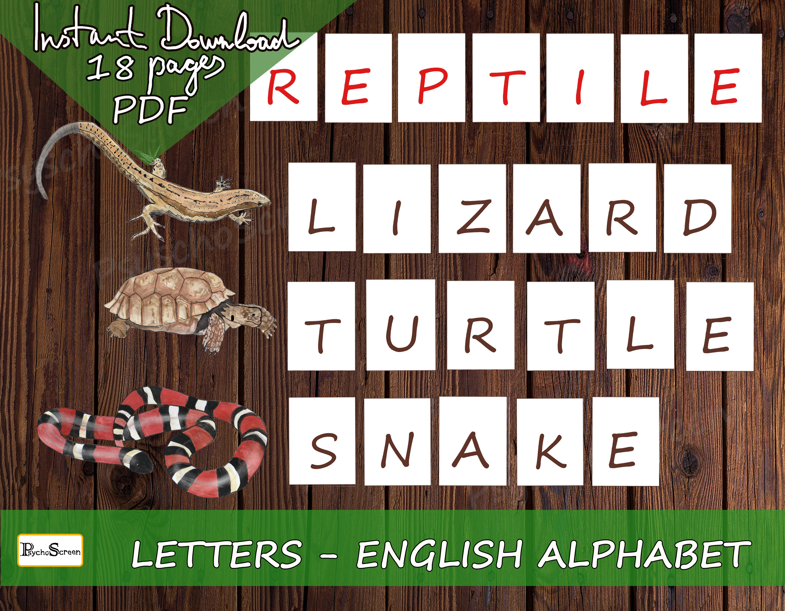LIZARDS UNIT STUDY, Printable bundle with Anatomy, Diagram, Life cycle ...