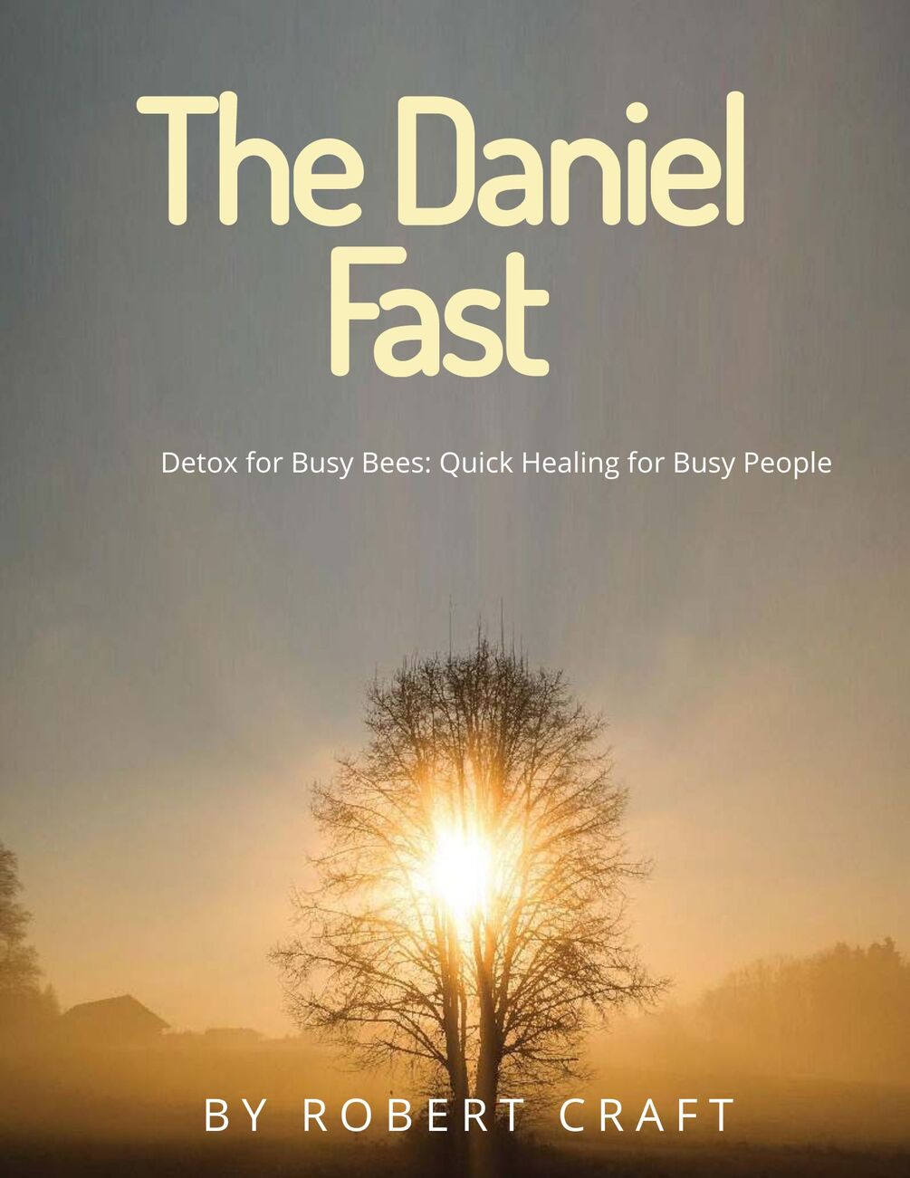 The Daniel Fast: Detox for Busy Bees: Quick Healing for Busy People