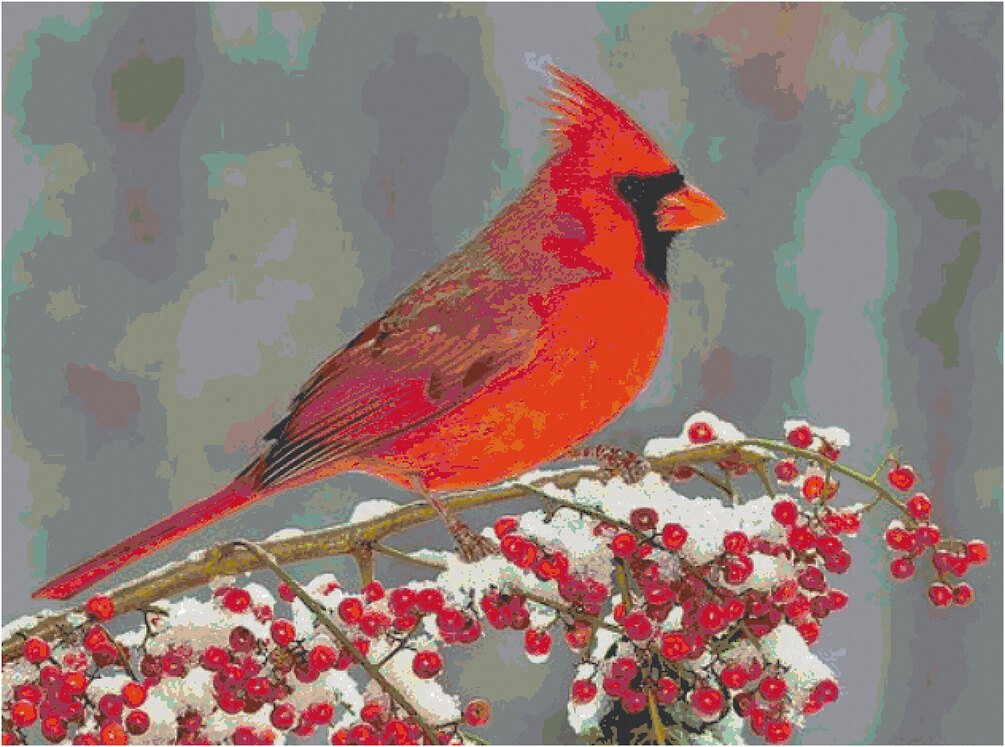 Cross Stitch Patterns/ Female Cardinal/ Counted Cross Stitch Patterns ...