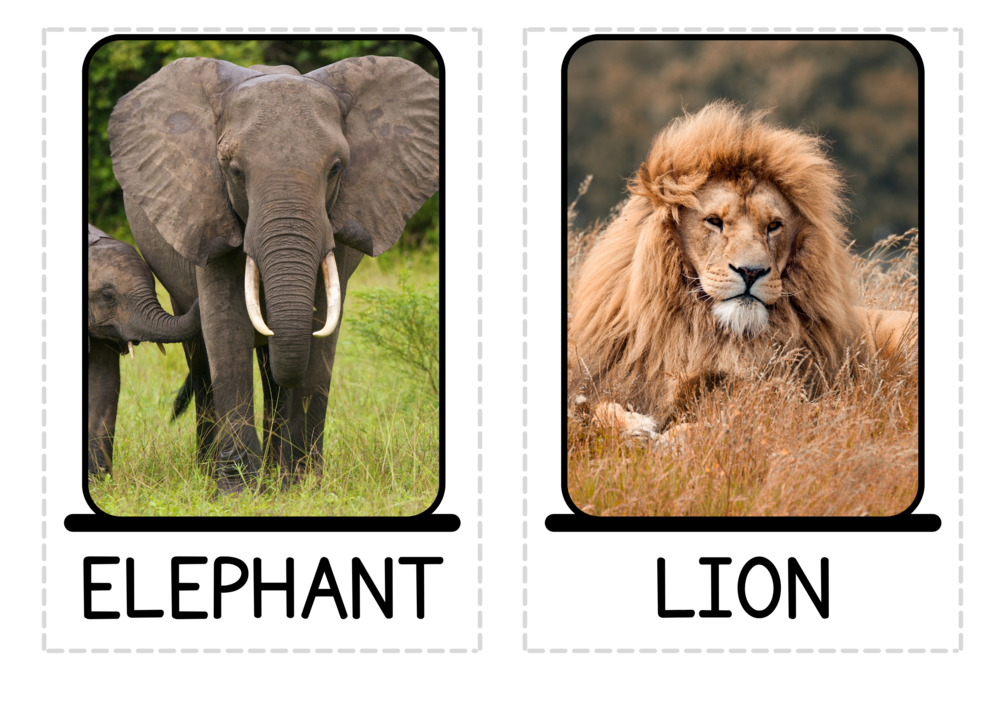 ZOO ANIMALS FLASHCARDS