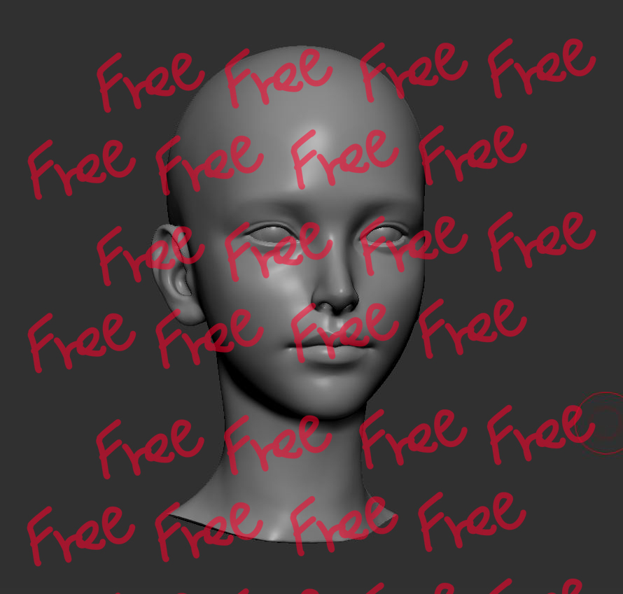 Female head base mesh