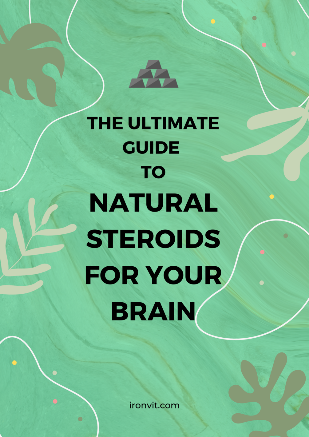 THE ULTIMATE GUIDE TO NATURAL STEROIDS FOR YOUR BRAIN