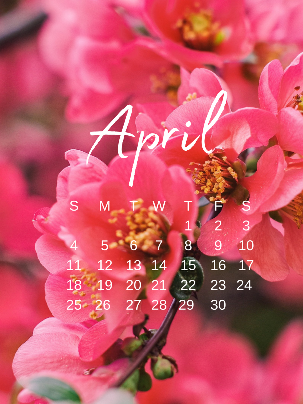 April Calendar Screensaver iPhone/Android