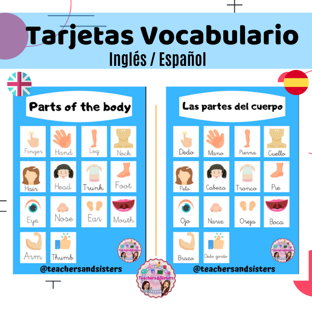 BINGO Las partes del cuerpo