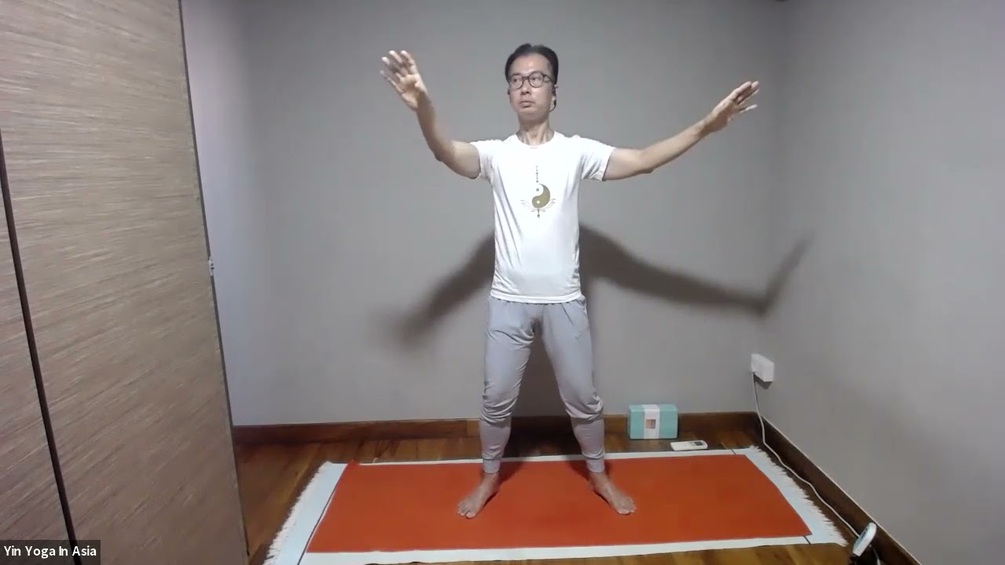 Basic Qigong & Swimming Dragon Practice 2 | Session 9