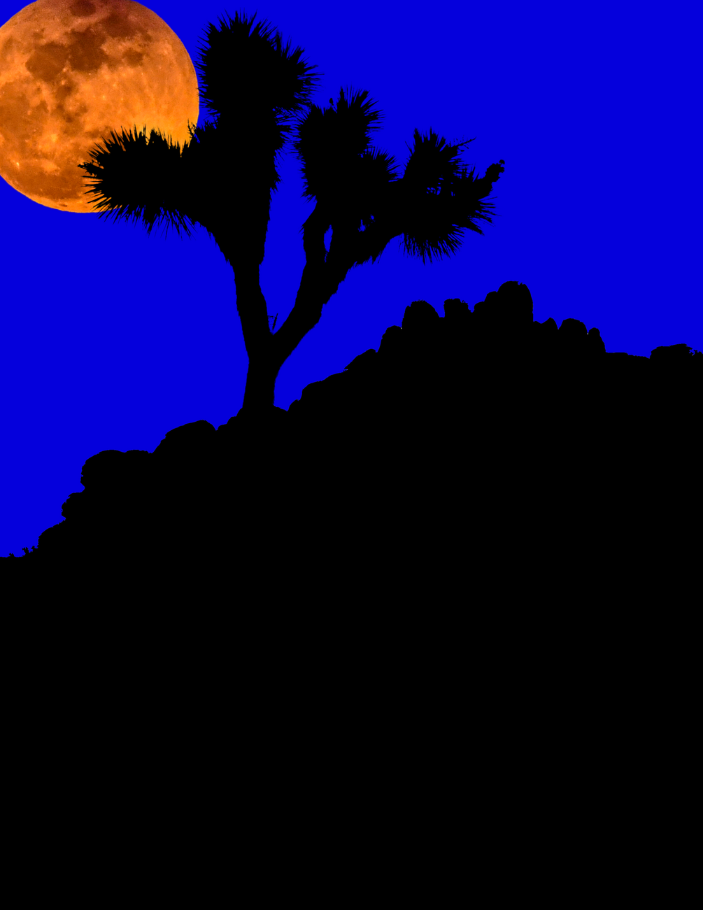 Affinity Designer, Affinity Publisher and Affinity Photo Assets ...