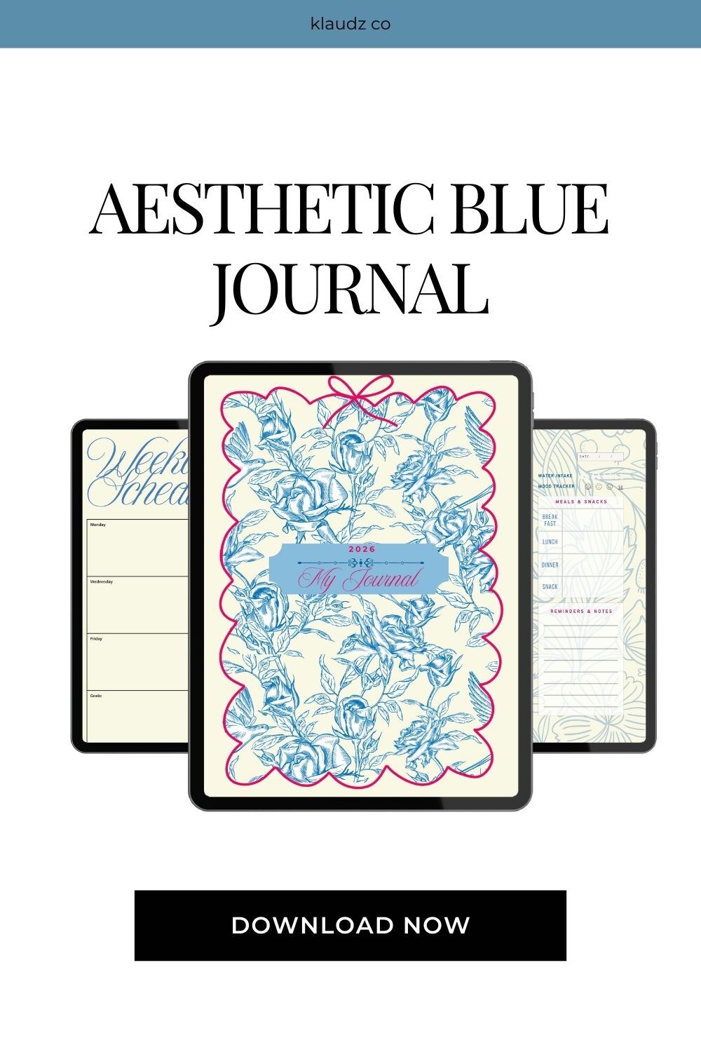 AESTHETIC BLUE PRINTABLE JOURNAL | whimsy, coquette