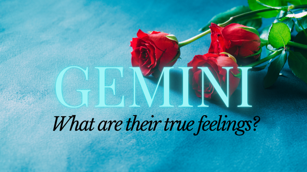 Extended Reading - Gemini Love - What are their true feelings! 🌹 ️‍🔥 ...