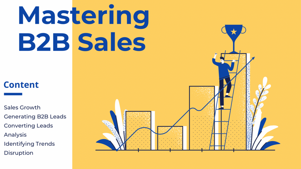 Guide to mastering B2B sales