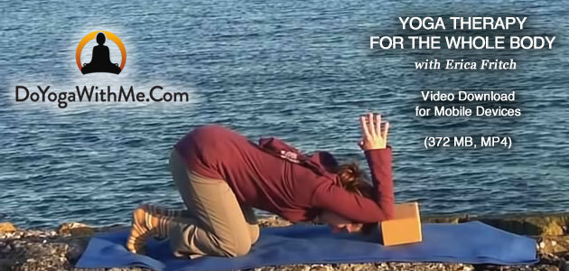 Erica Yoga Therapy for the Whole Body Mobile