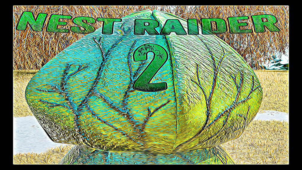 Nest Raider 2