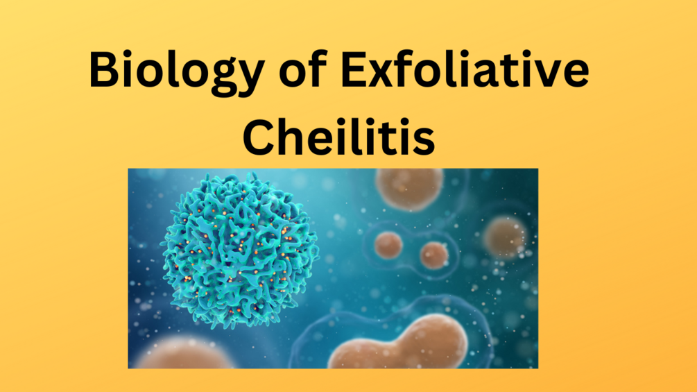 The Science Behind Exfoliative Cheilitis