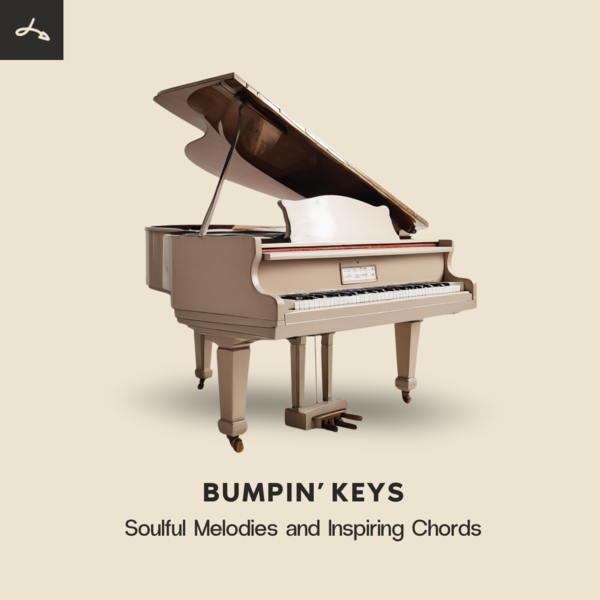 Bump-Bap Bundle | Sample Collection