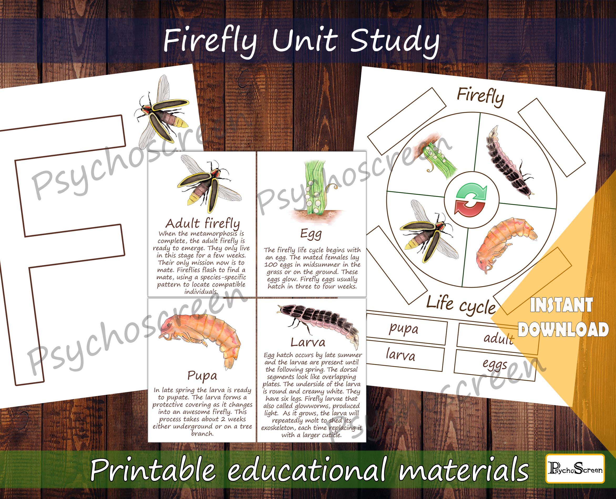 FIREFLY Unit Study: MEGA Printable fireflies set, Lighting bugs, insects