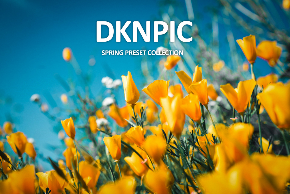 100 Spring Lightroom Presets [DKNPIC]