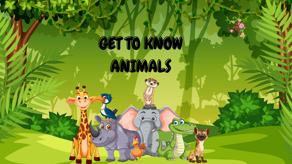 Get To Know Animals🐘📚