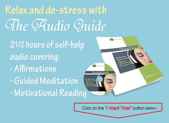 The Audio Guide Program