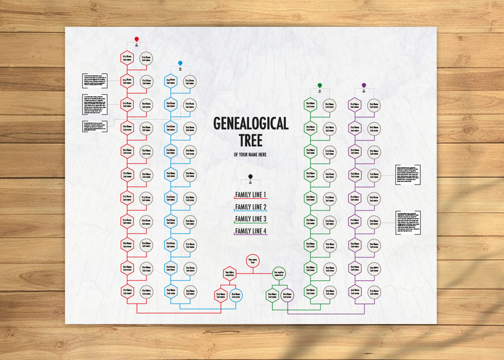 Modern Genealogical Tree Template