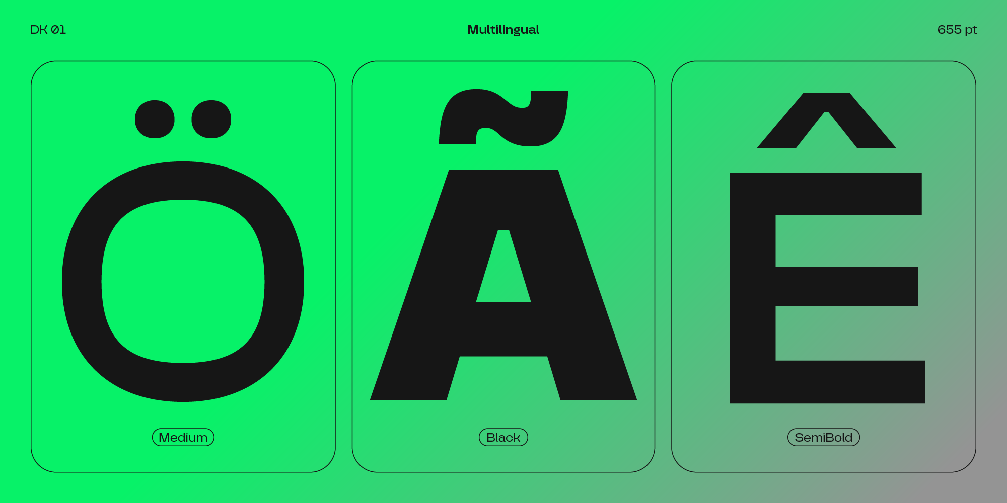 DK 01 - A Bold & Flexible Sans Serif Font Family