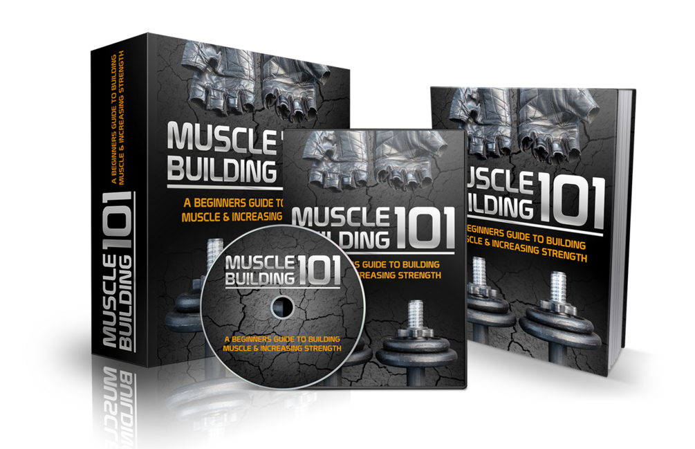 Muscle Building 101 beginners guide to building muscle and increasing ...