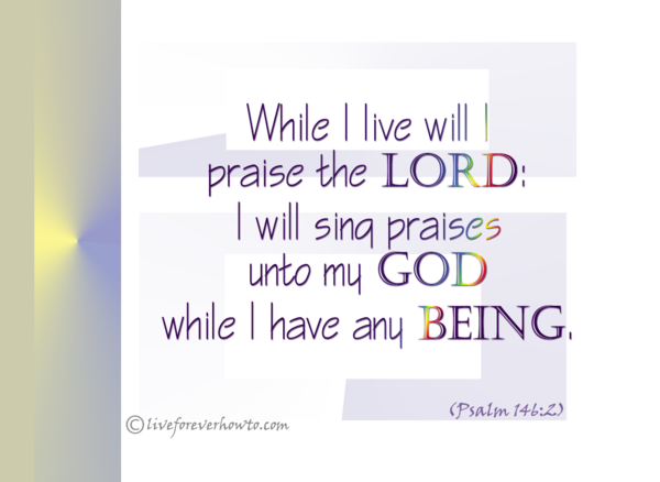 Praise Scripture Cards pack