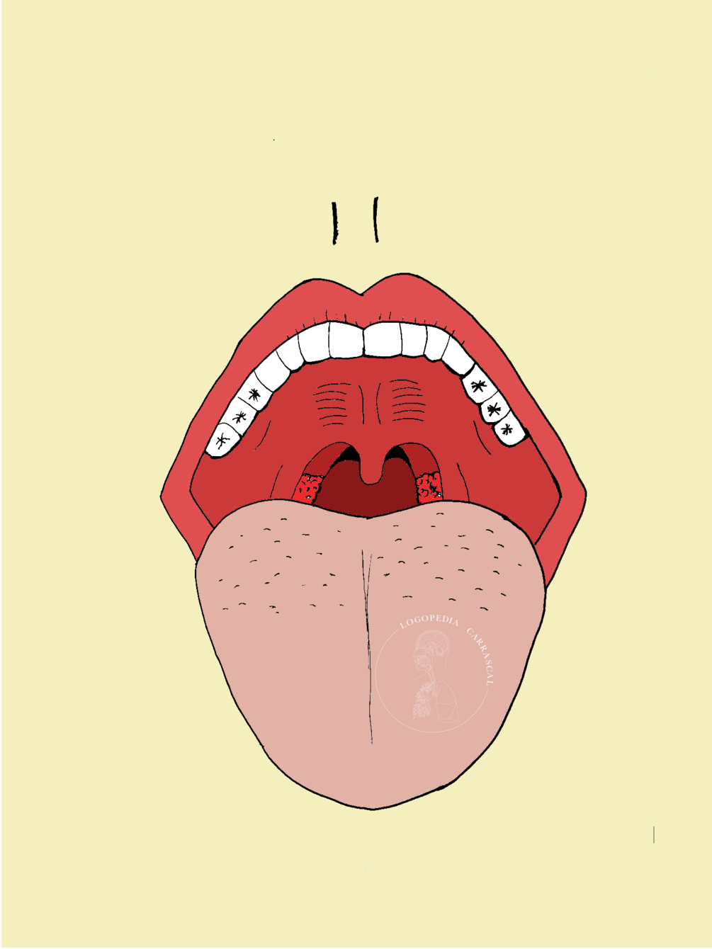 Istmo de las fauces - Lámina de estudio