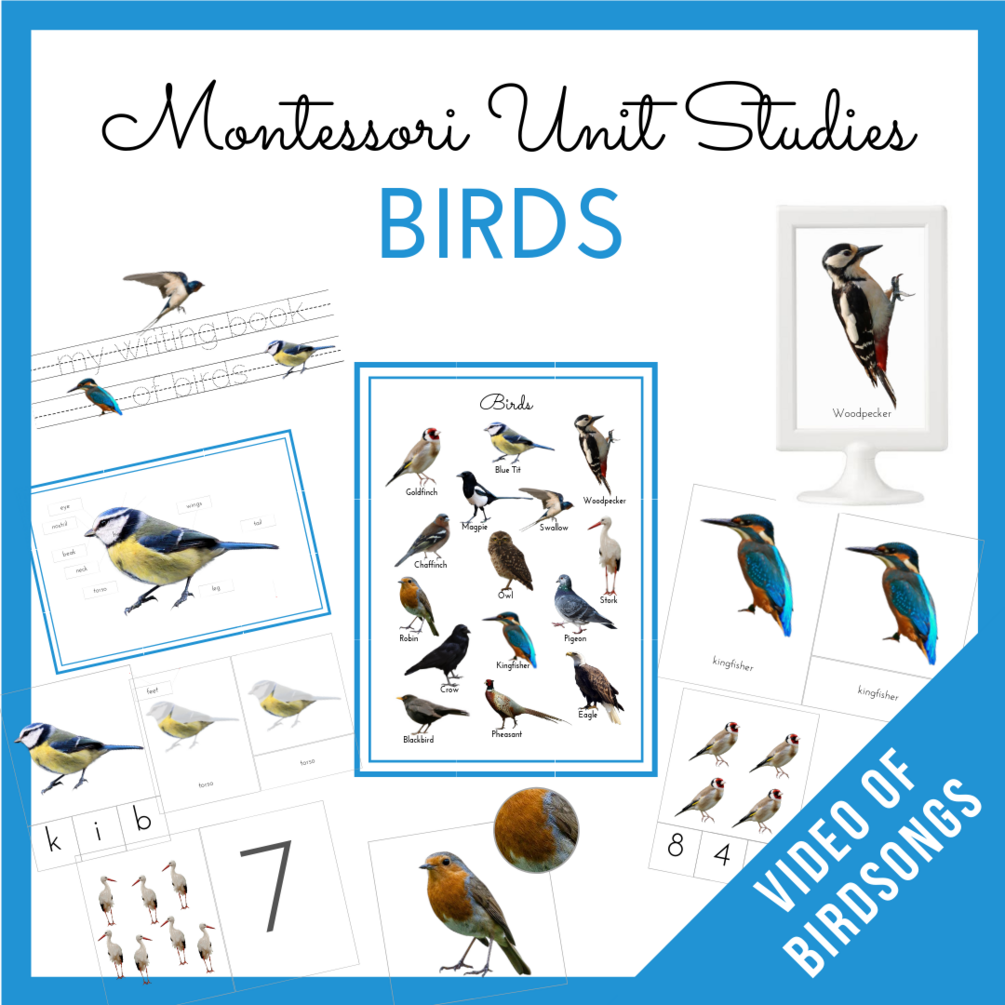 75% OFF - Unit Study Bundle of Birds