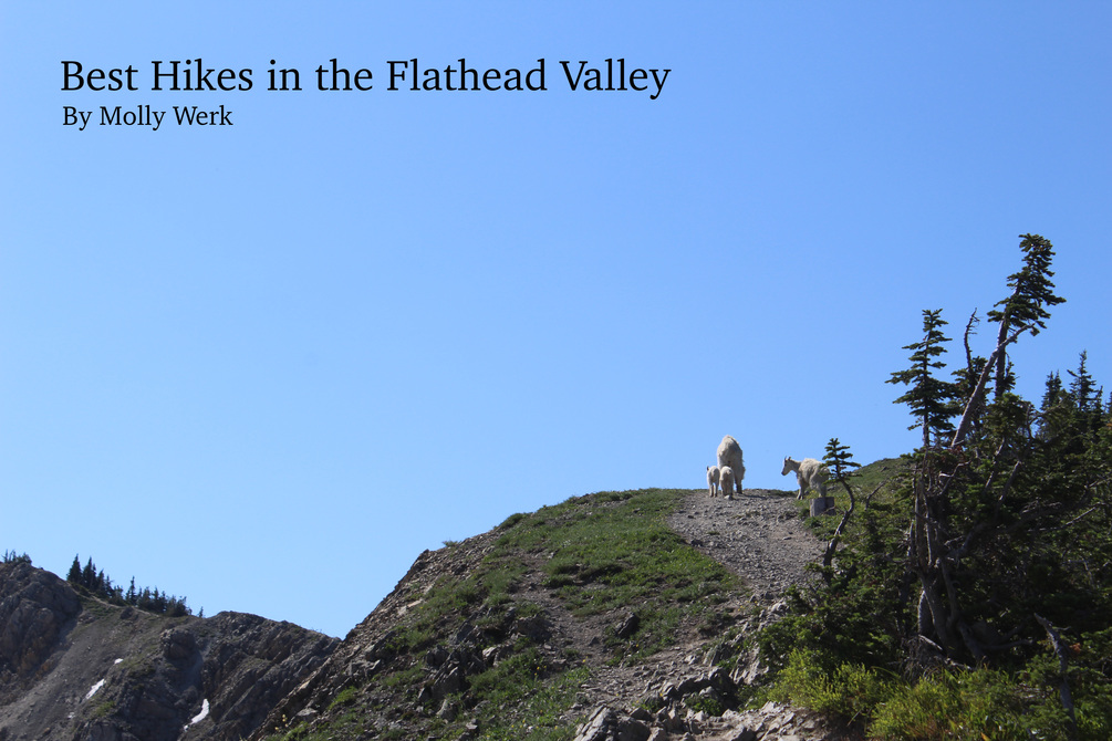 Best Hikes in the Flathead Valley