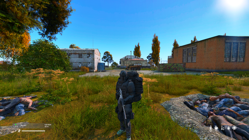 Dayz Cinematic Reshade Preset