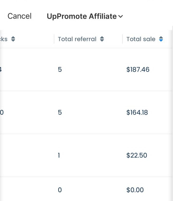 Instagram Wealth Pages Guide