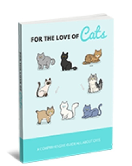 Cat book