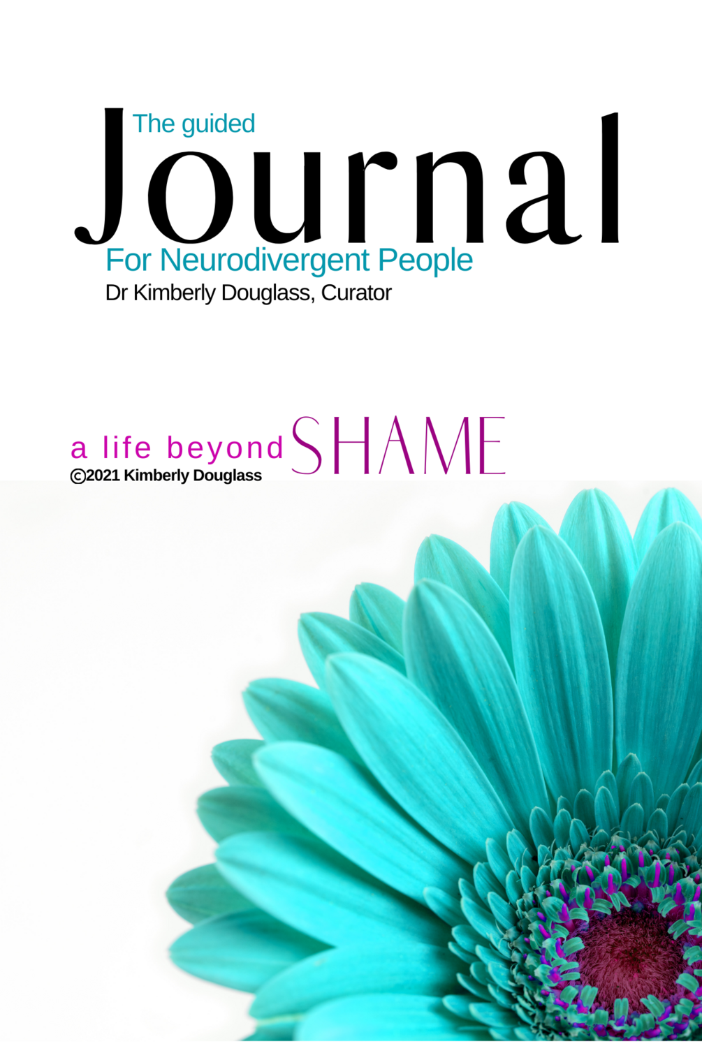 Beyond Shame Journal/Workbook Downloadable Version