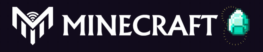 MINECRAFT NETWORK