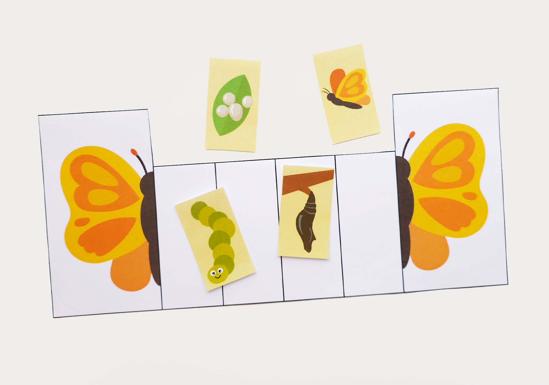 Butterfly Life Cycle Crafts Activities