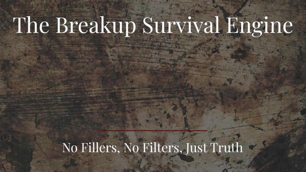 Breakup Survival Engine - 10 Day Preview