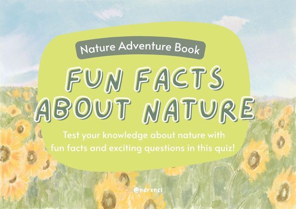 Nature Adventure Book for kids
