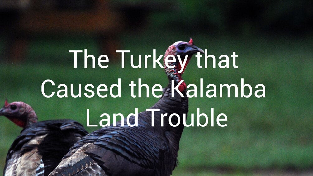 011 Short Reads with Vocabulary Guide - The Turkey that Caused the ...