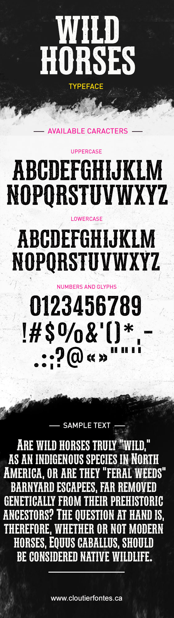 CF Wild Horses font