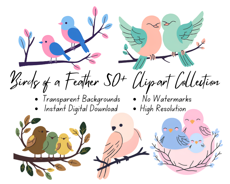 Birds of a Feather 50+ Clipart Collection | High-Resolution Digital ...