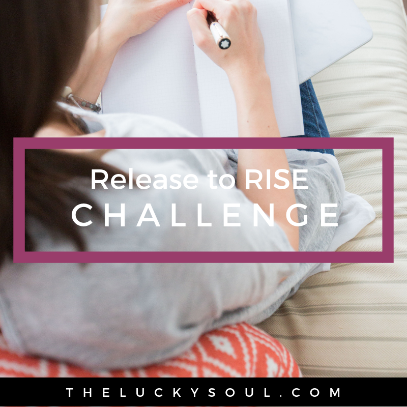 Release to RISE Challenge