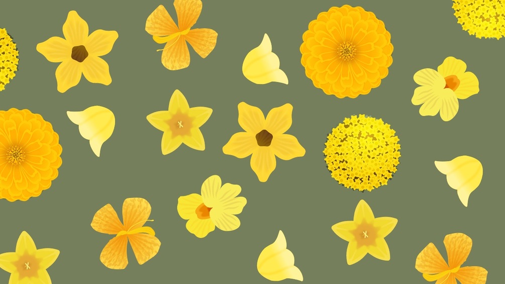 Vector Yellow Flowers Illustrations Pack