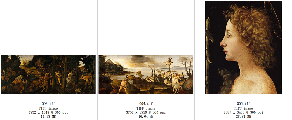 24 digital images of Piero di Cosimo paintings, people landscape still ...