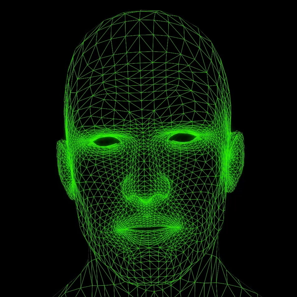Silent Form – Expressive Mesh Face Animation Featuring Minimal Motion ...