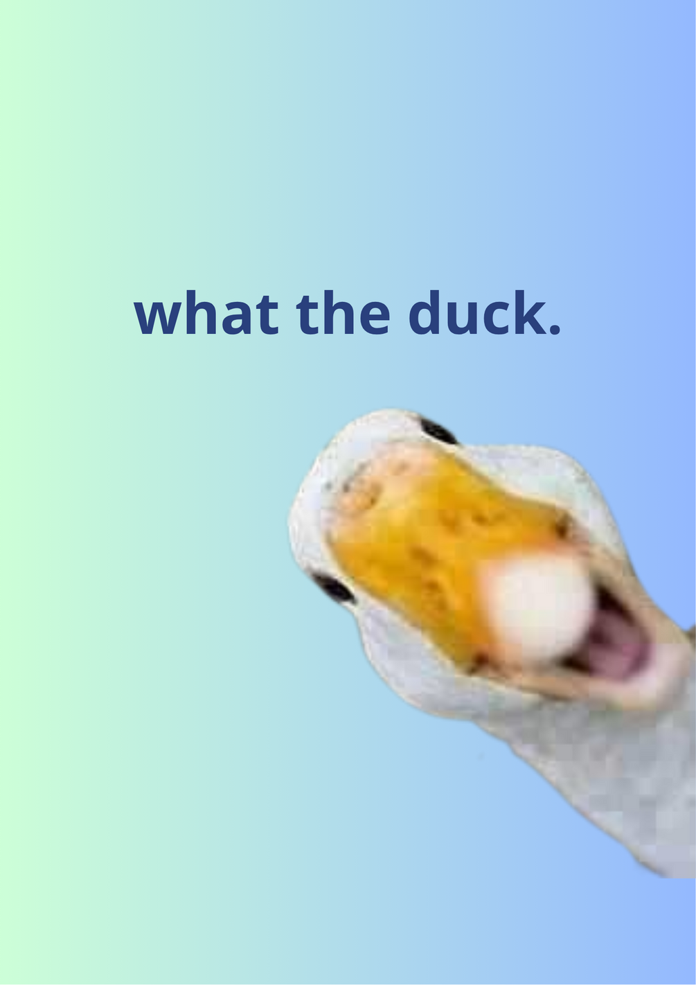 What the duck poster