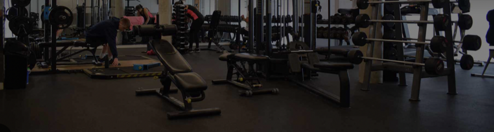 GYM PROGRAMME/GUIDE 6 DAY SPLIT