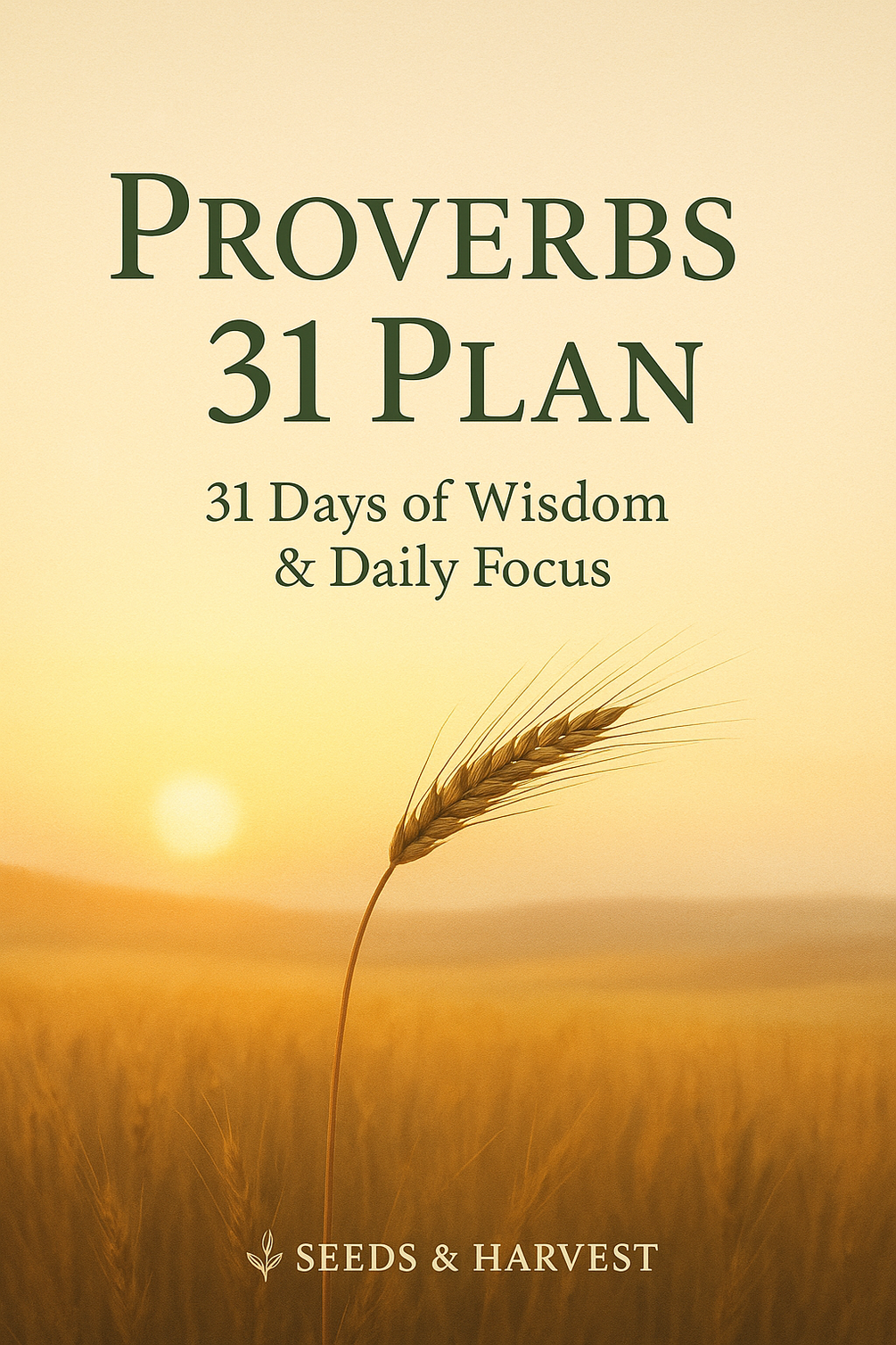 Proverbs 31 Plan — 31 Days of Wisdom & Daily Focus