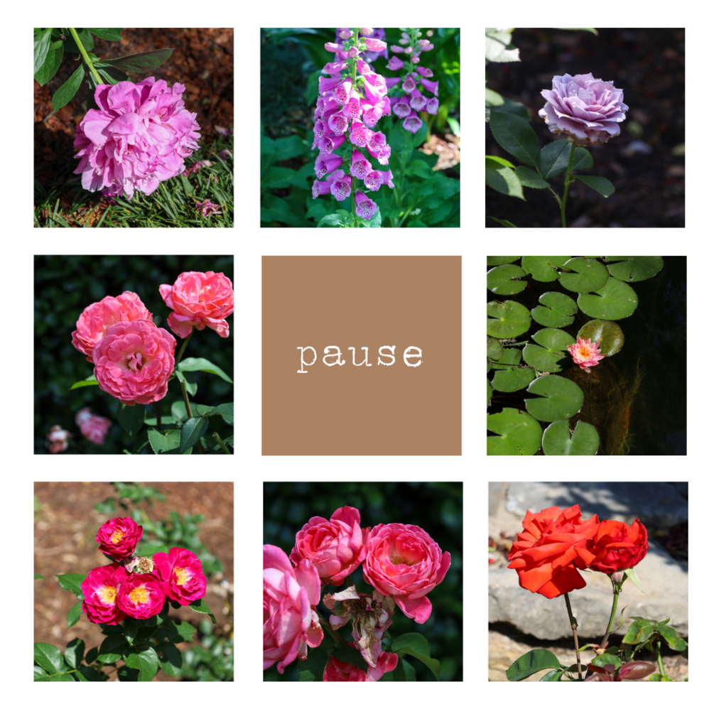 Pause printable