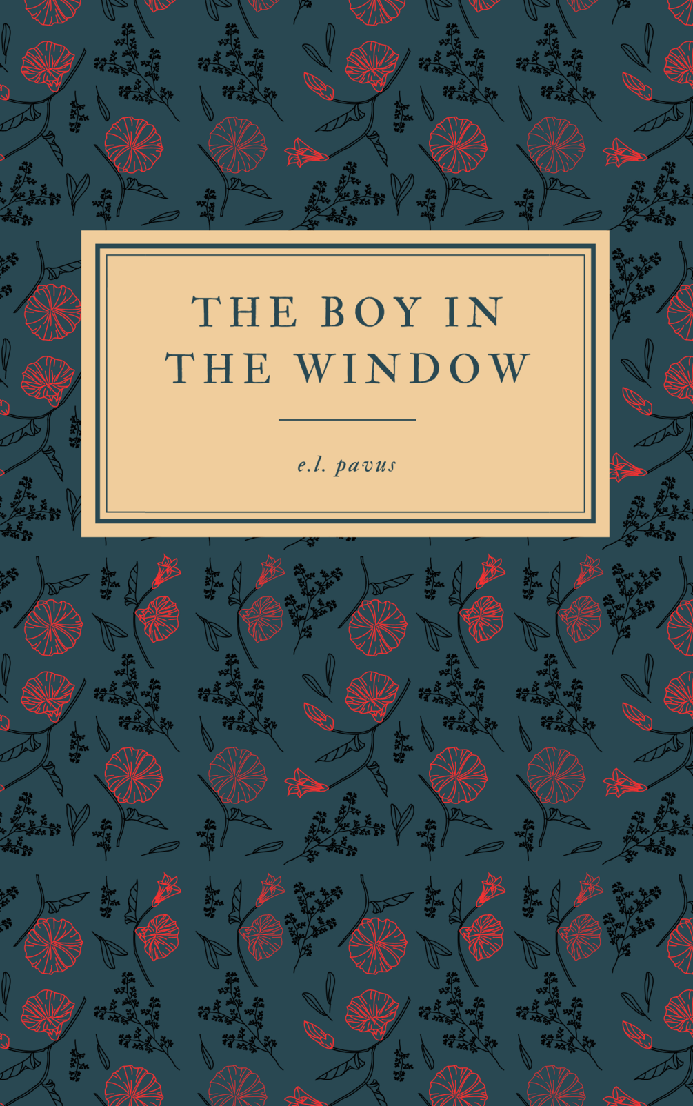 The Boy in the Window