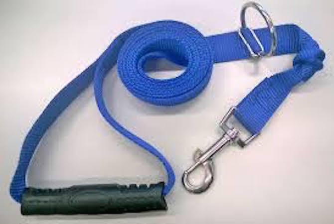 Instant Trainer Dog Leash